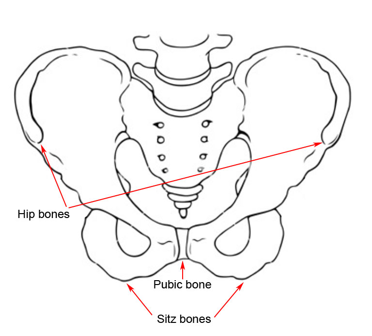 Where are my sitz bones? – pilatesbody